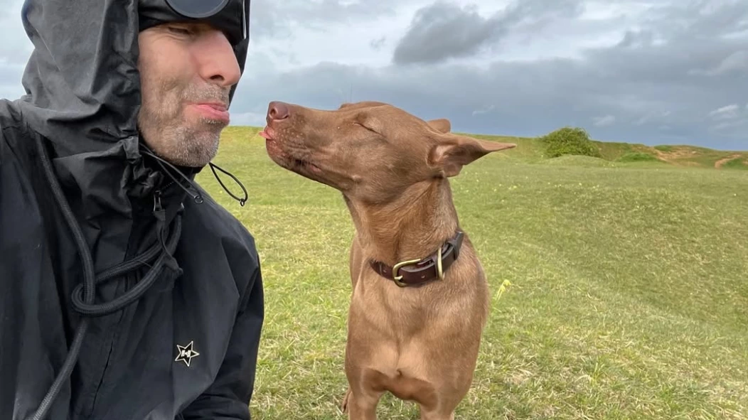 Liam Gallagher wins PETA Award for raising awareness for rescue dog ...