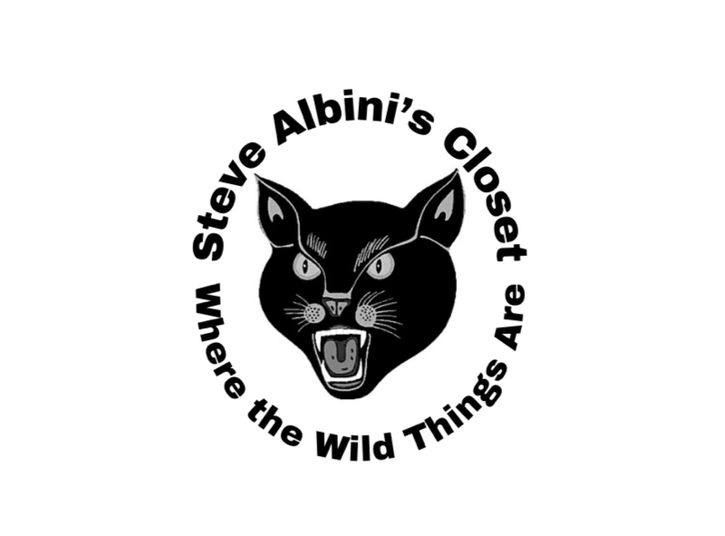 Steve Albini's stuff (LPs, books, posters, more) being sold online to ...