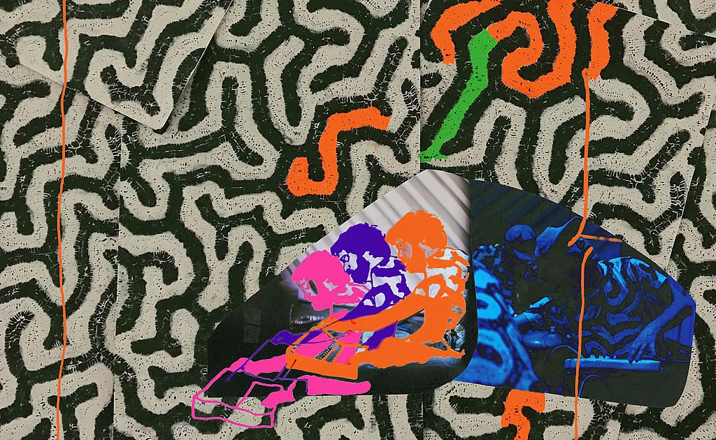 Animal Collective announce audiovisual album, share video; Deakin touring