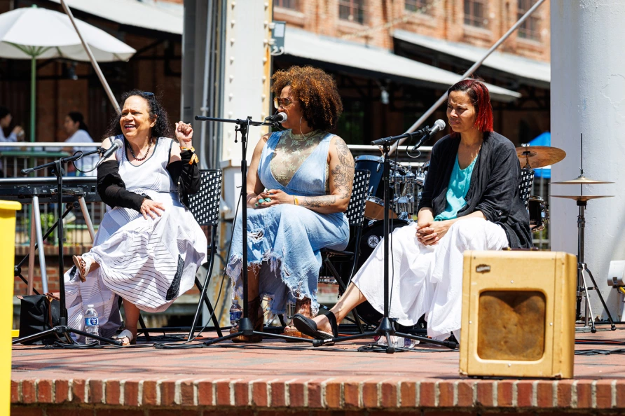 Biscuits & Banjos brought Carolina Chocolate Drops back & more - pics ...