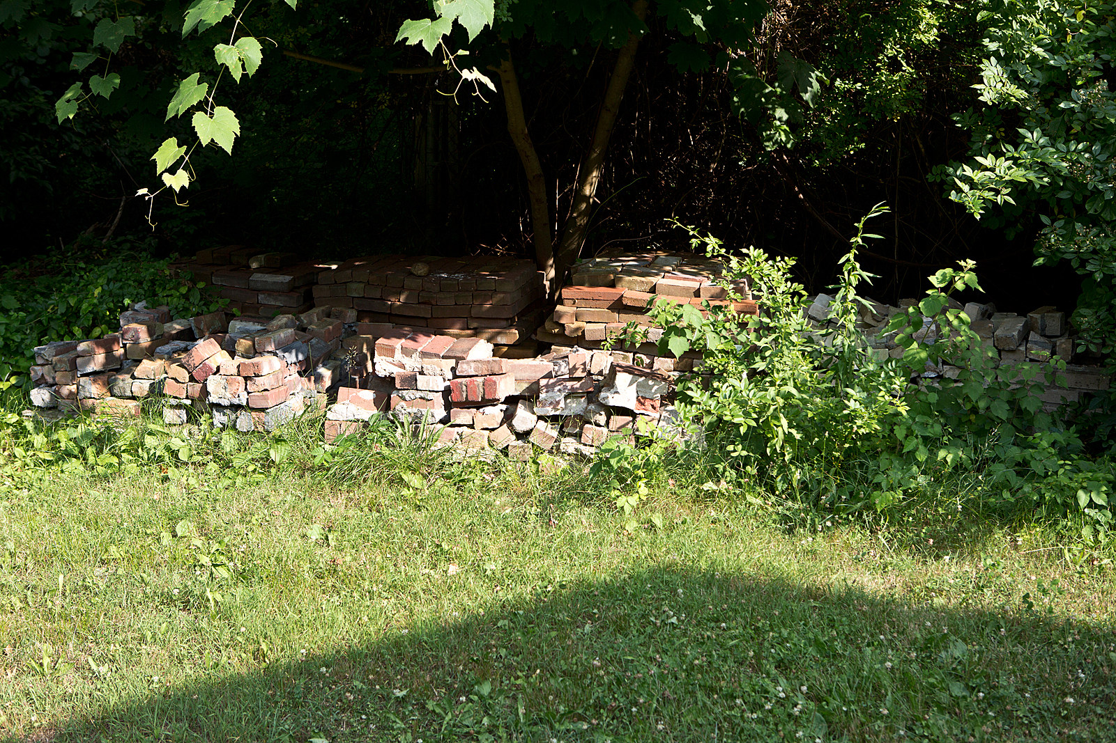 John & Alice Coltrane's NY home named 'National Treasure' -- go visit!