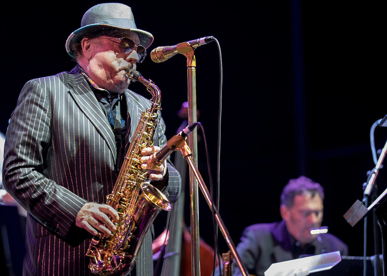 Van Morrison & Willie Nelson played Forest Hills Stadium (pics ...