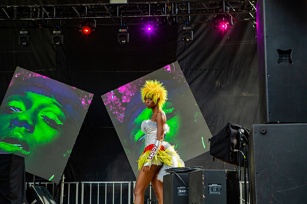 The People of Afropunk 2019 (pictures)