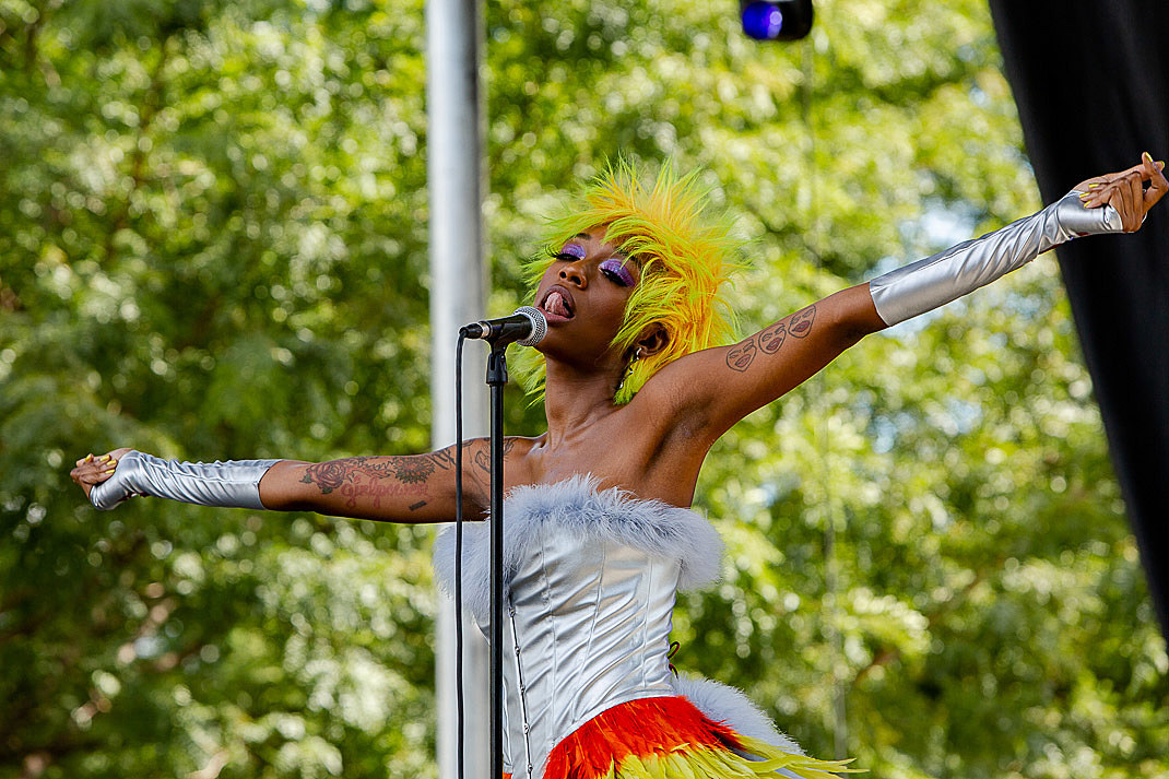The People of Afropunk 2019 (pictures)