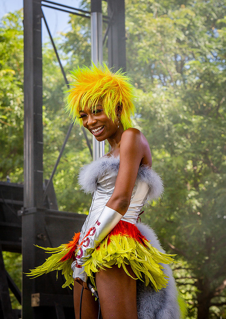 The People of Afropunk 2019 (pictures)