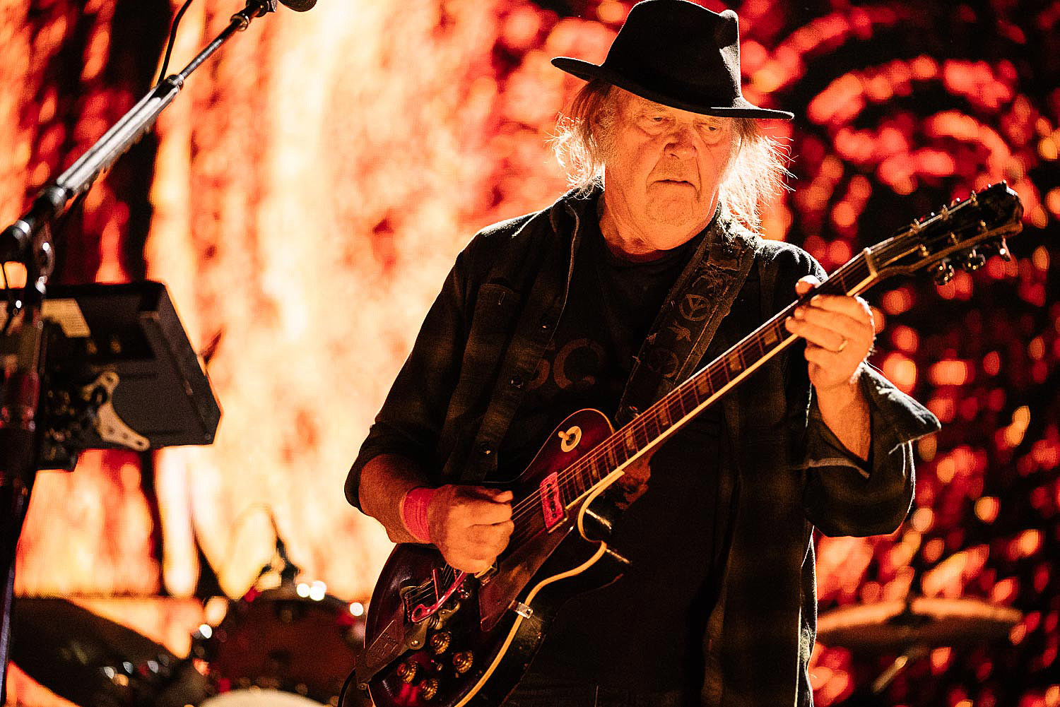 Neil Young, Stephen Stills & more playing CA benefit for The Painted ...