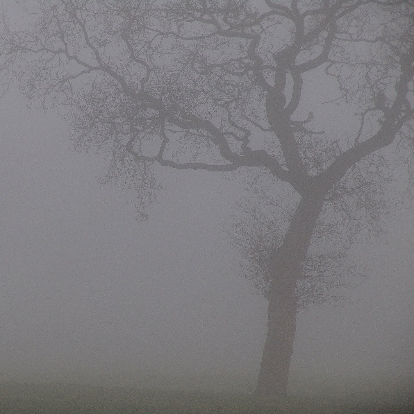 Watch heavy shoegazers Comatose's new video for "Skin"