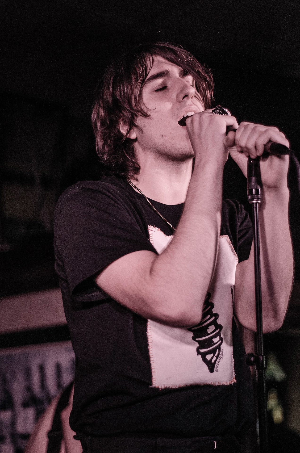 Geese played "Shine a Light" benefit in Long Island (pics); Kurt Vile ...