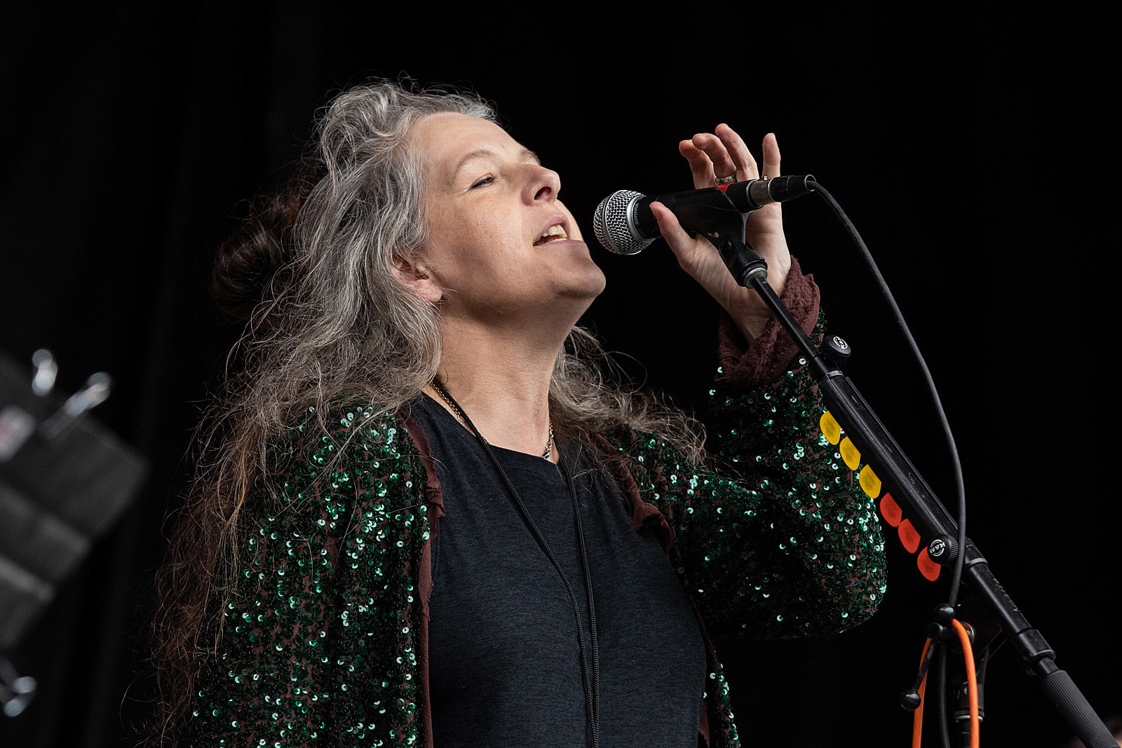Solid Sound 2022 Friday pics (Wilco, Neko Case, Sylvan Esso, Iceage ...