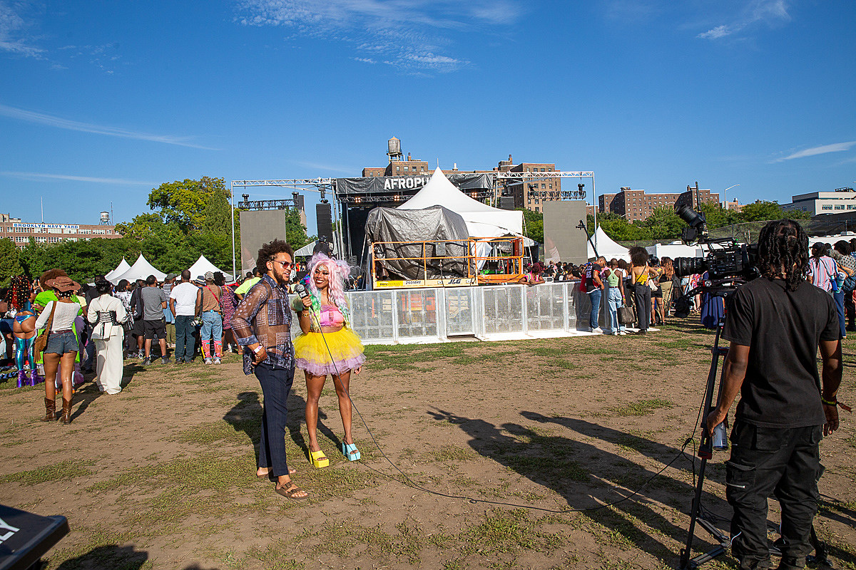 Afropunk Brooklyn announces 2023 lineup & new location