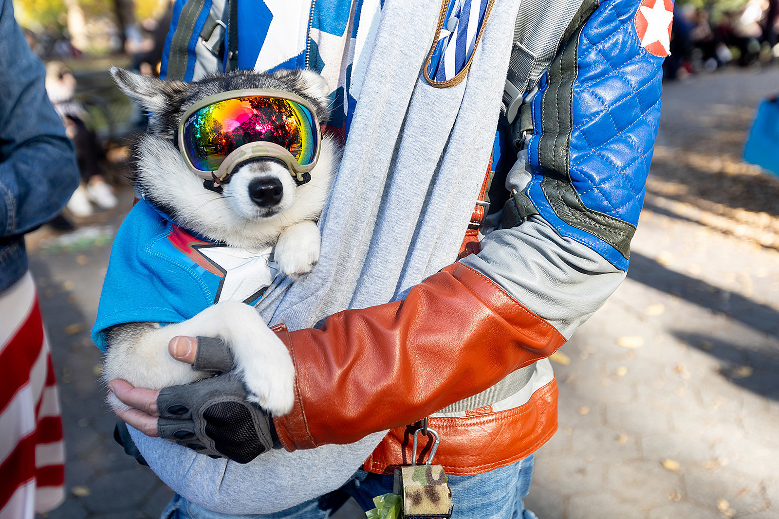 Dogs in costume took over Tompkins Square Park for 2022 Halloween Dog ...