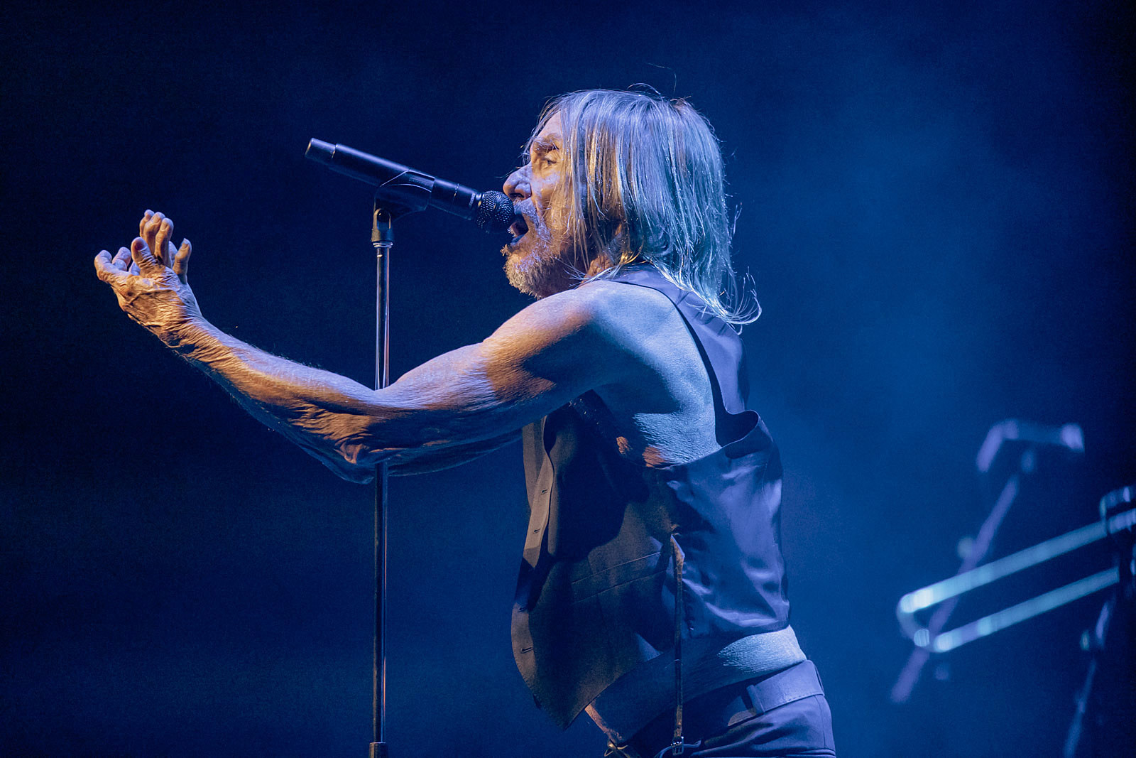 Iggy Pop played new Chicago venue The Salt Shed (pics, setlist, video)