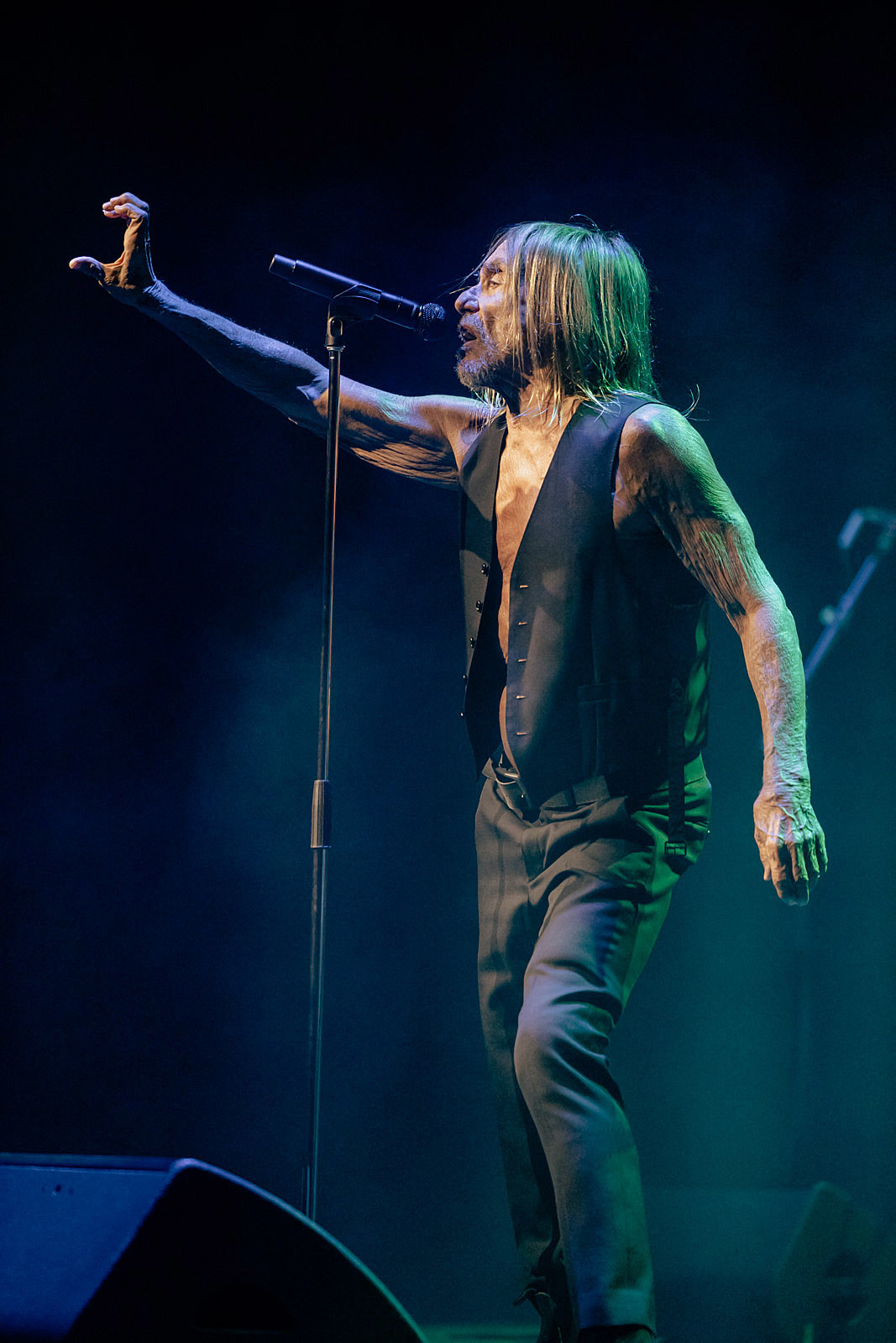 Iggy Pop played new Chicago venue The Salt Shed (pics, setlist, video)