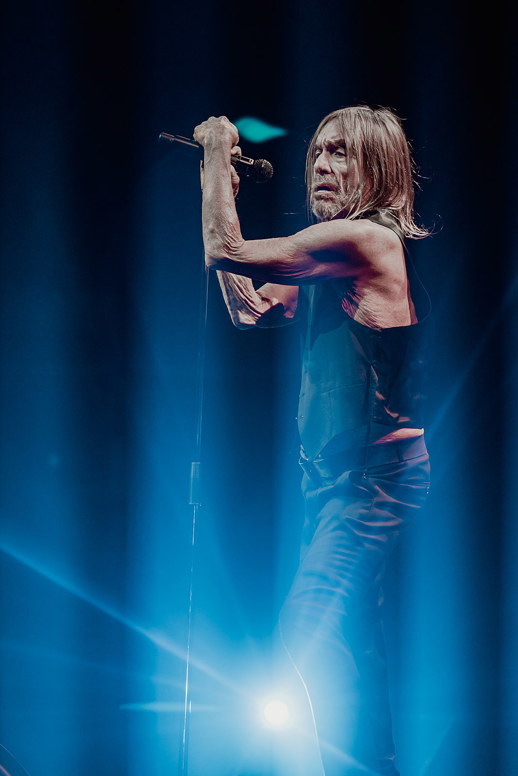 Iggy Pop played new Chicago venue The Salt Shed (pics, setlist, video)