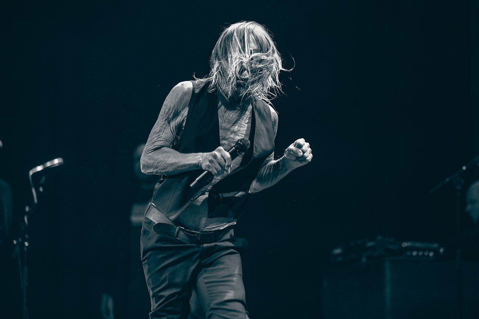 Iggy Pop played new Chicago venue The Salt Shed (pics, setlist, video)
