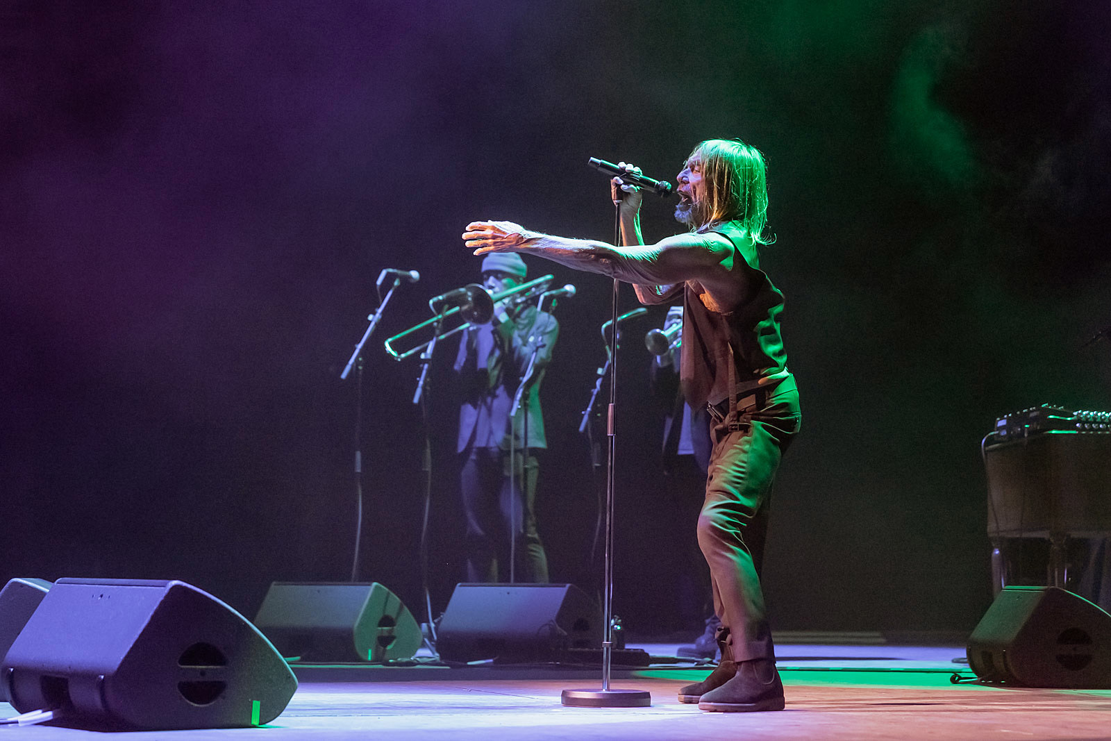 Iggy Pop played new Chicago venue The Salt Shed (pics, setlist, video)