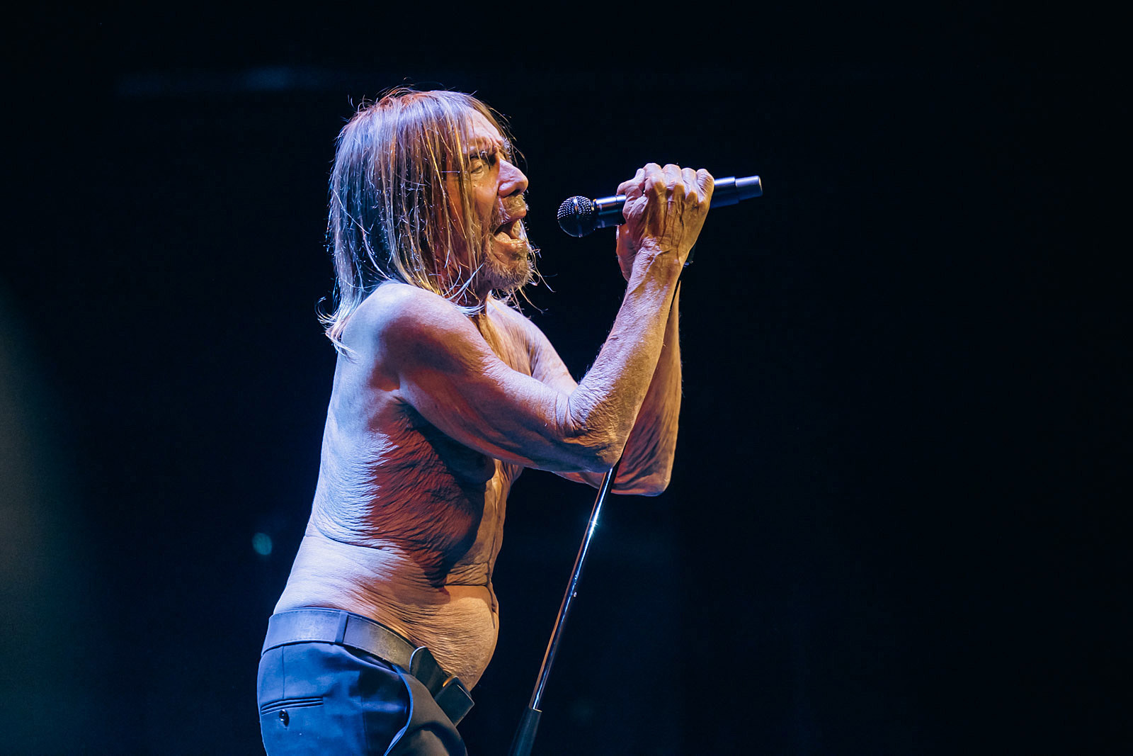 Iggy Pop played new Chicago venue The Salt Shed (pics, setlist, video)