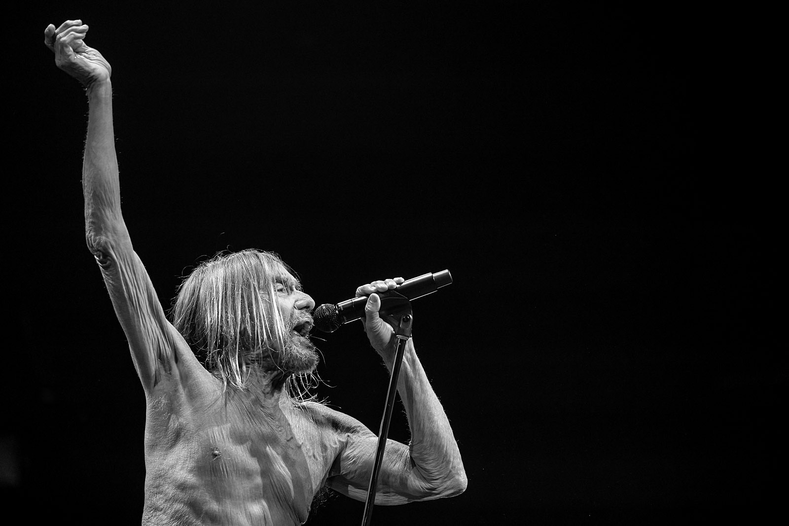 Iggy Pop played new Chicago venue The Salt Shed (pics, setlist, video)