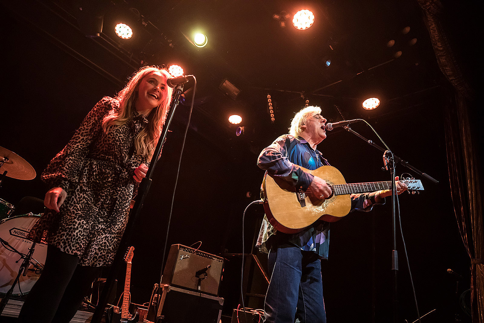 Robyn Hitchcock releasing first-ever instrumental album (stream 3 tracks)