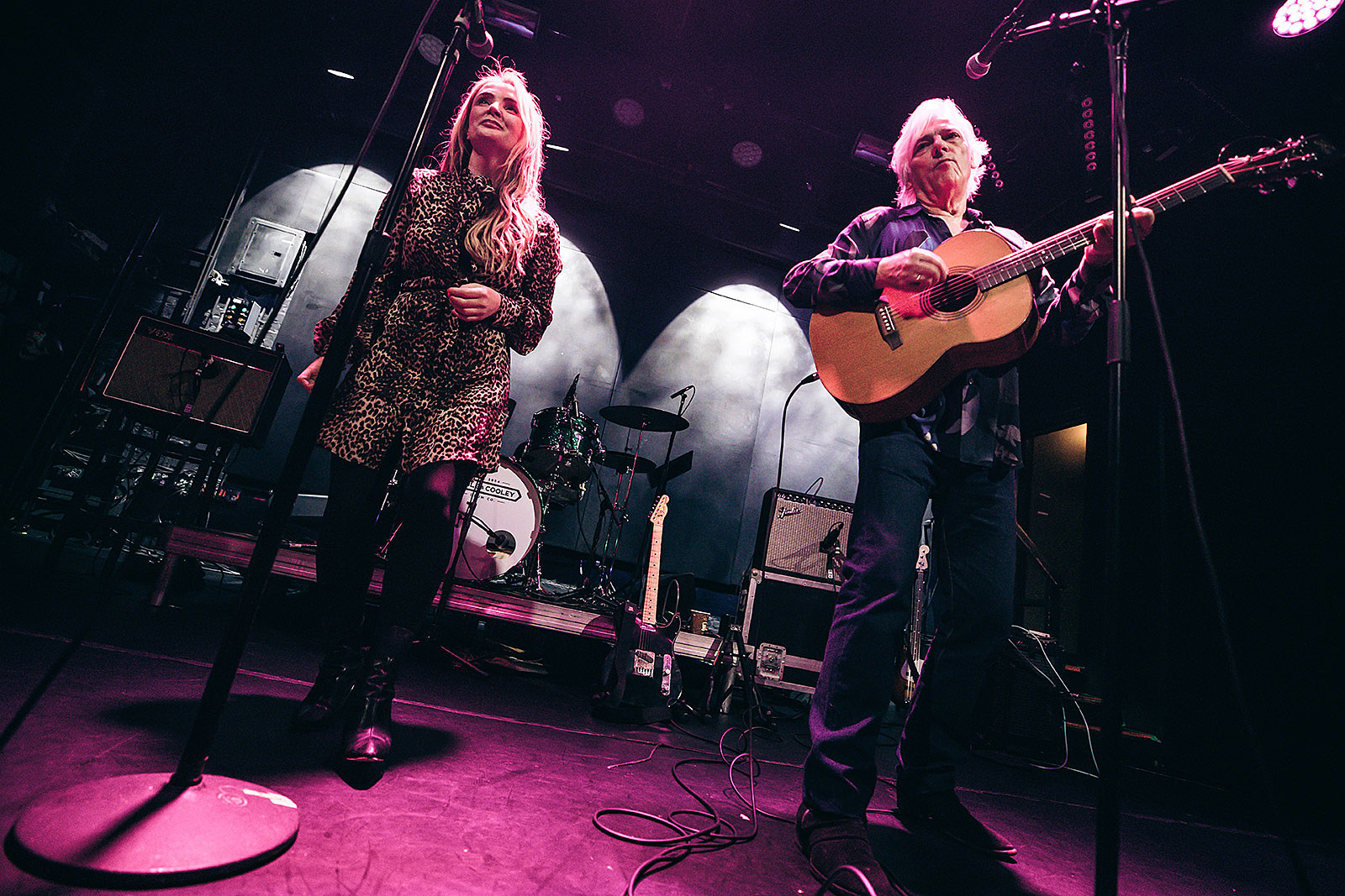 Robyn Hitchcock releasing first-ever instrumental album (stream 3 tracks)