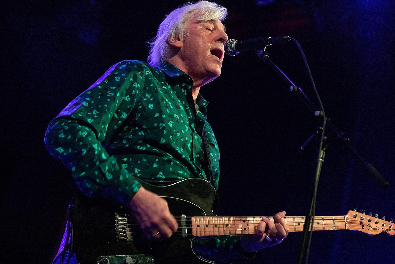 Robyn Hitchcock releasing first-ever instrumental album (stream 3 tracks)
