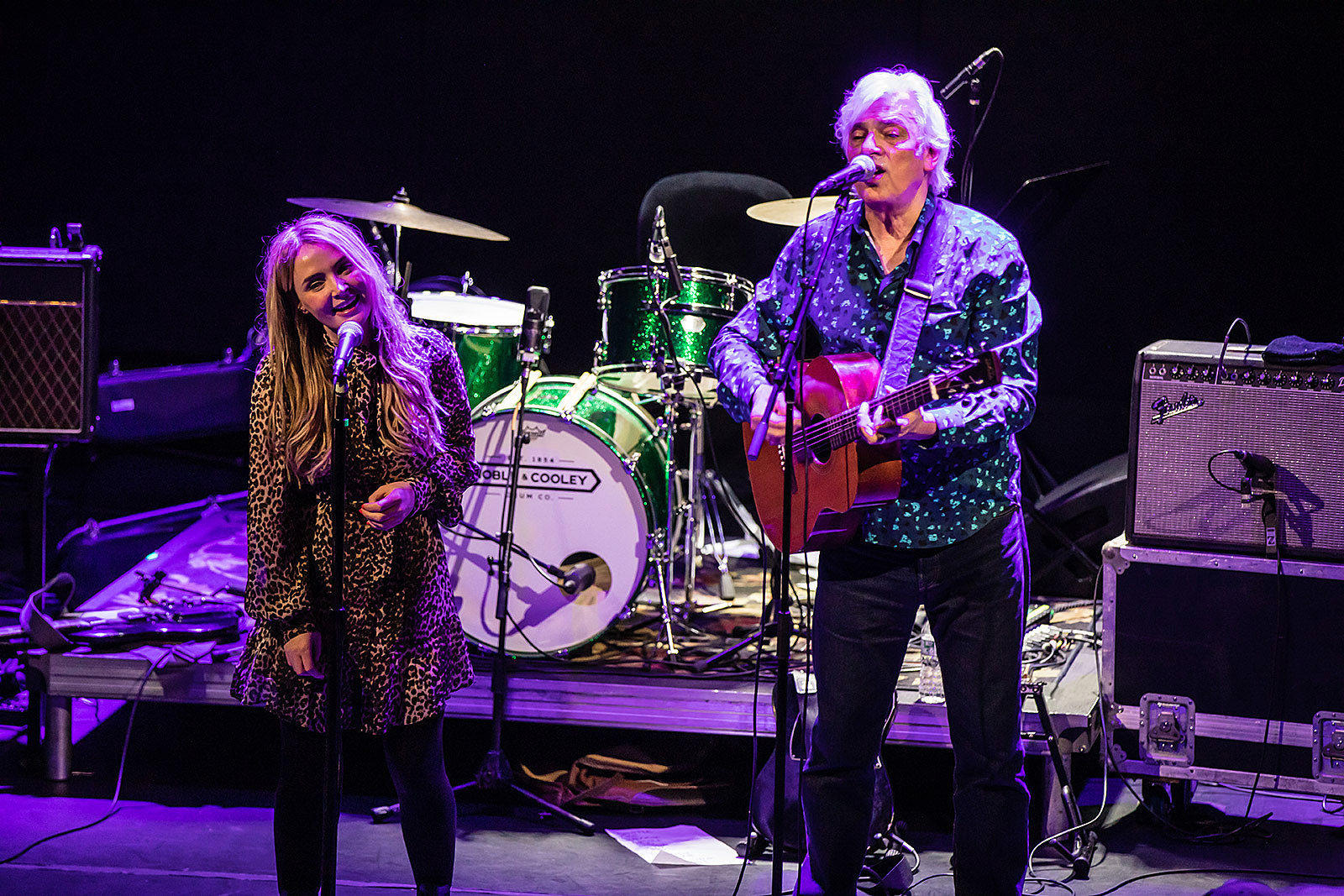 Robyn Hitchcock releasing first-ever instrumental album (stream 3 tracks)