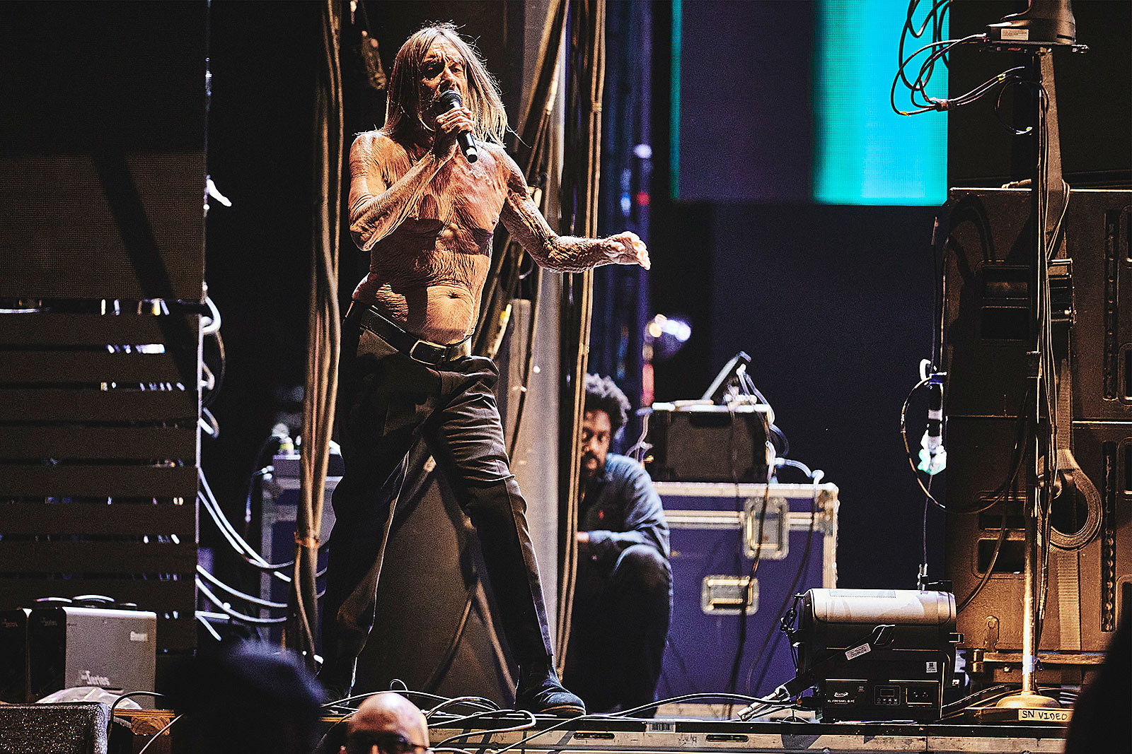 Iggy Pop was electric at Cruel World till threat of lightning cut his ...
