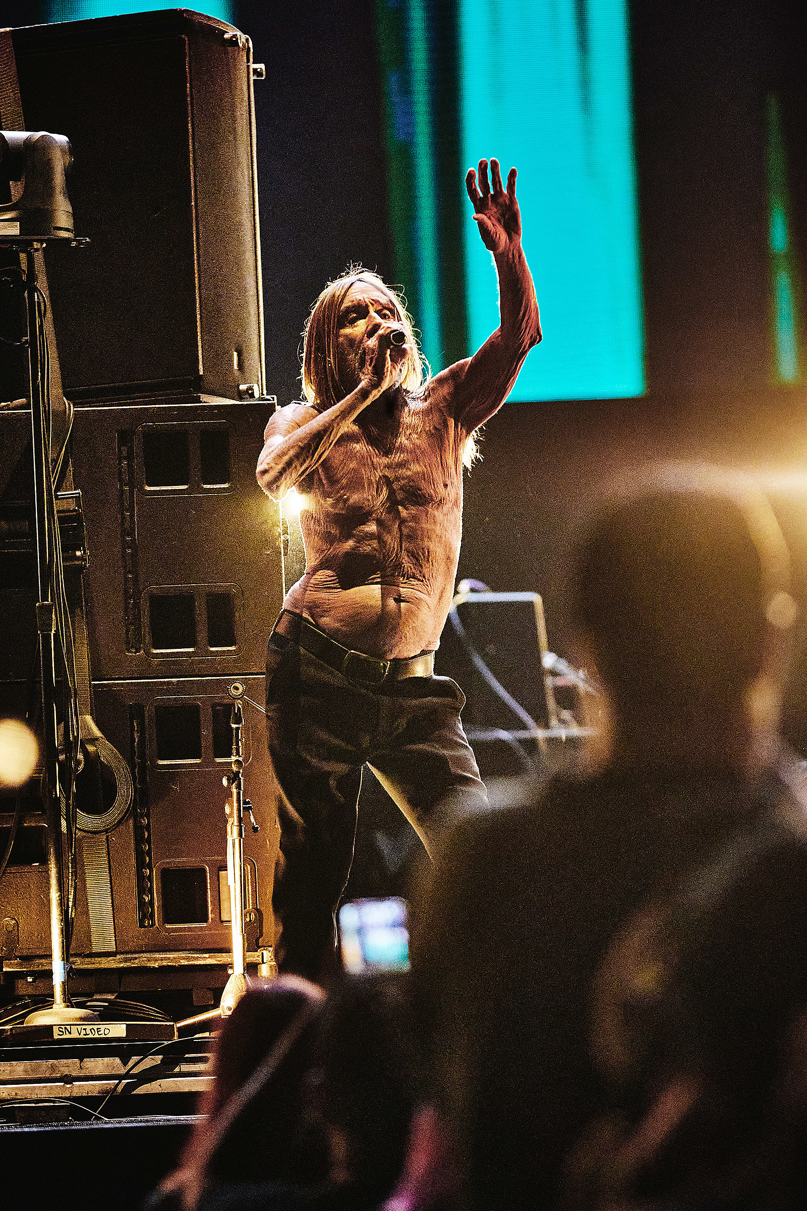 Iggy Pop was electric at Cruel World till threat of lightning cut his ...