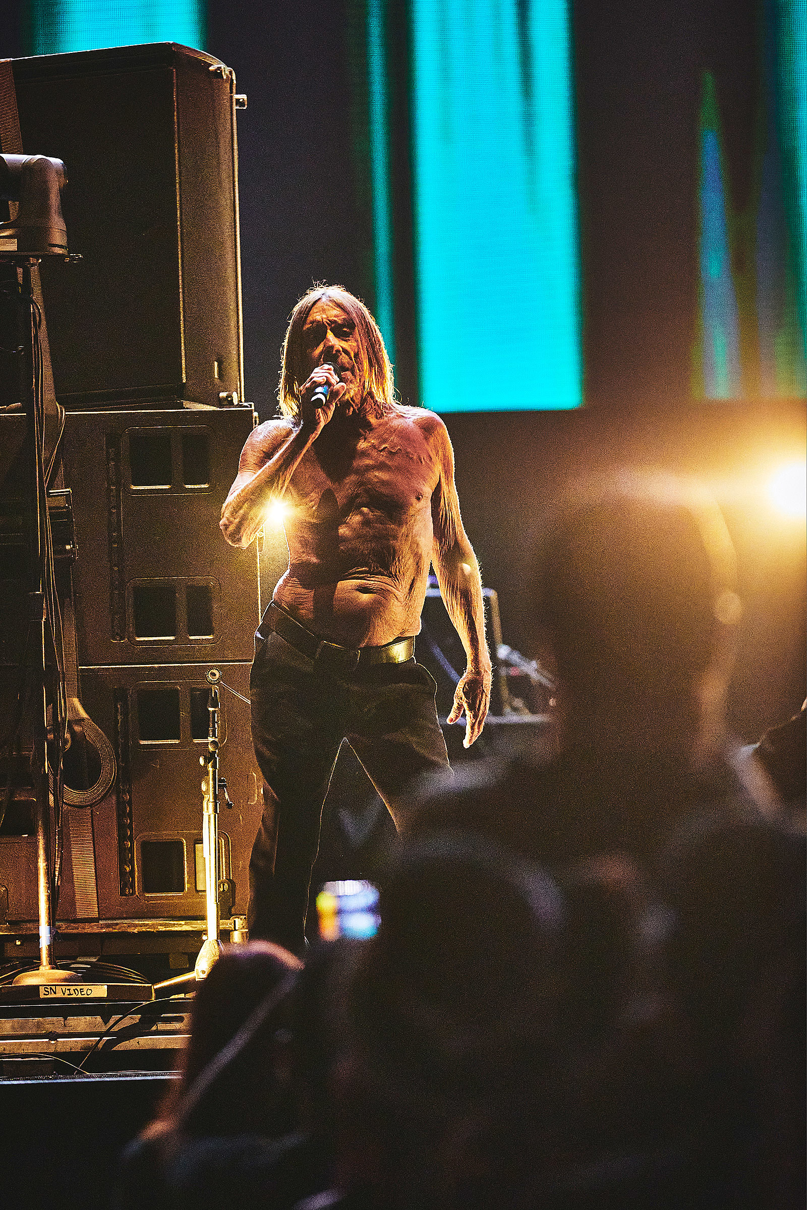 Iggy Pop was electric at Cruel World till threat of lightning cut his ...