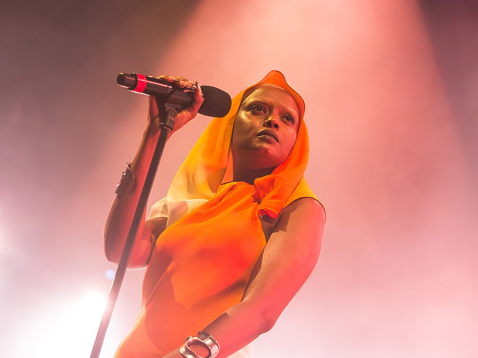 Kelela & Liv.e played BRIC Celebrate Brooklyn! Festival (pics, setlist)