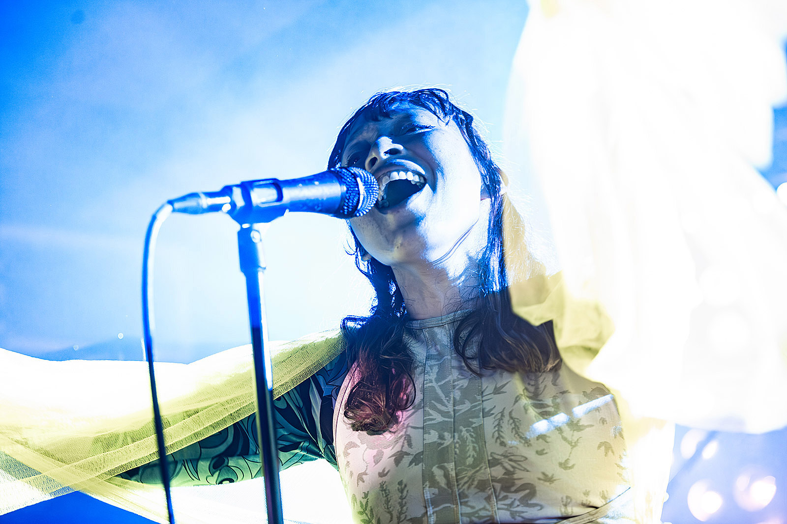 Little Dragon celebrated 'Slugs of Love' with 2 Brooklyn shows: pics ...