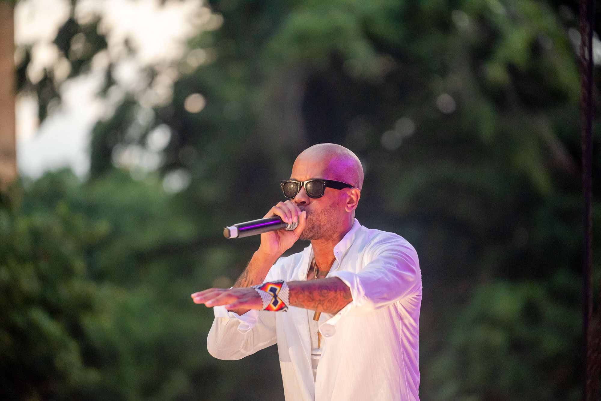 Pics: dead prez, th1rt3en & Large Professor at SummerStage in Von King Park