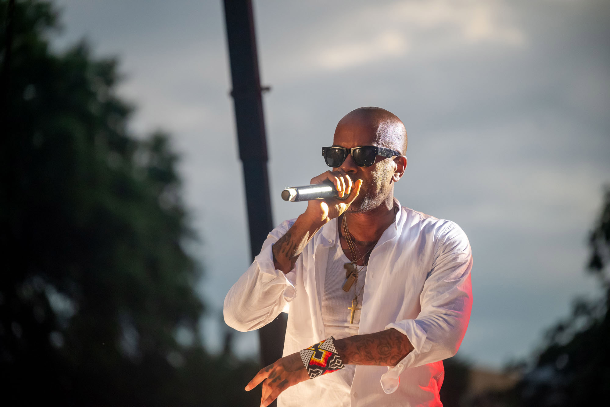Pics: dead prez, th1rt3en & Large Professor at SummerStage in Von King Park