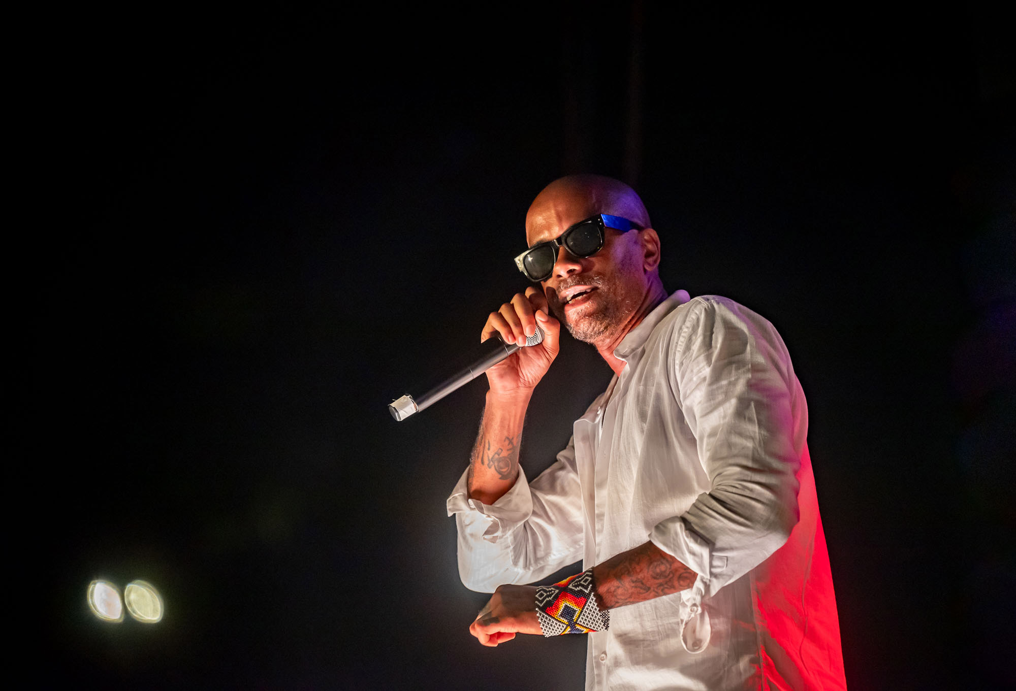 Pics: dead prez, th1rt3en & Large Professor at SummerStage in Von King Park