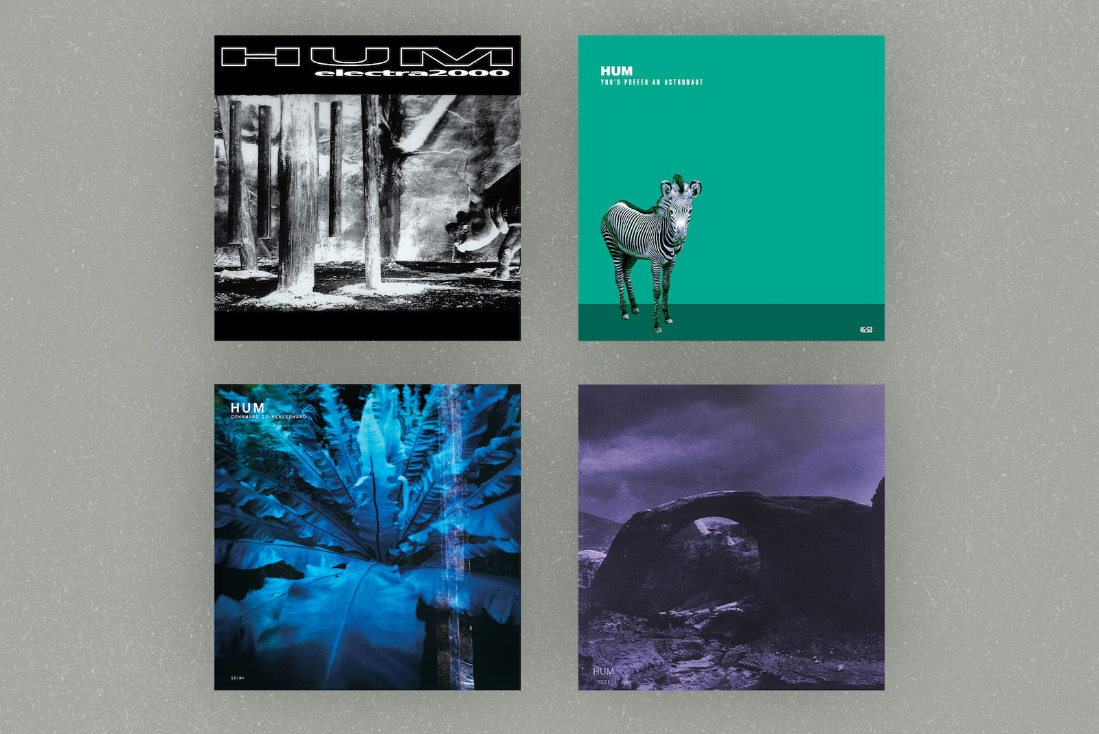 Hum announce vinyl discography reissues