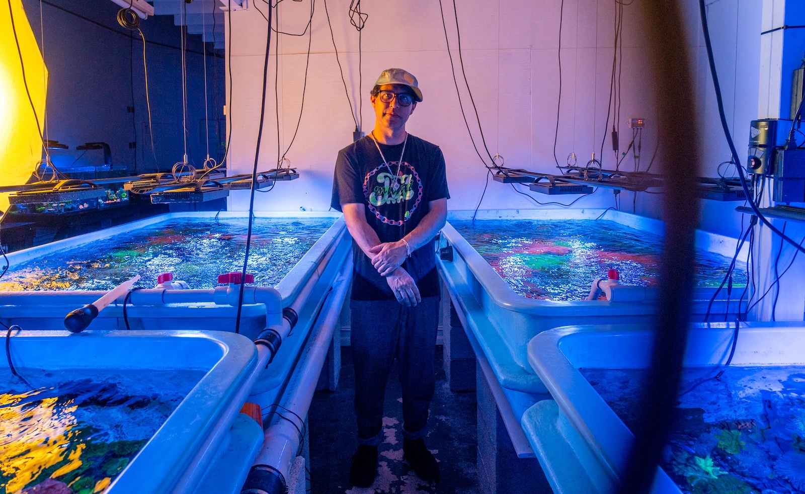 Animal Collective's Avey Tare & Panda Bear team up on new song "Vampire ...