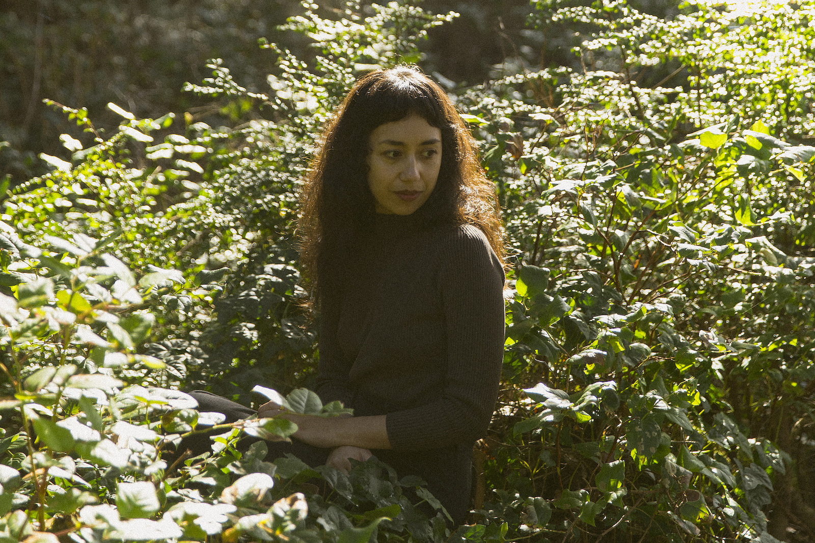 Haley Heynderickx announces new LP 'Seed of a Seed,' shares "Foxglove"