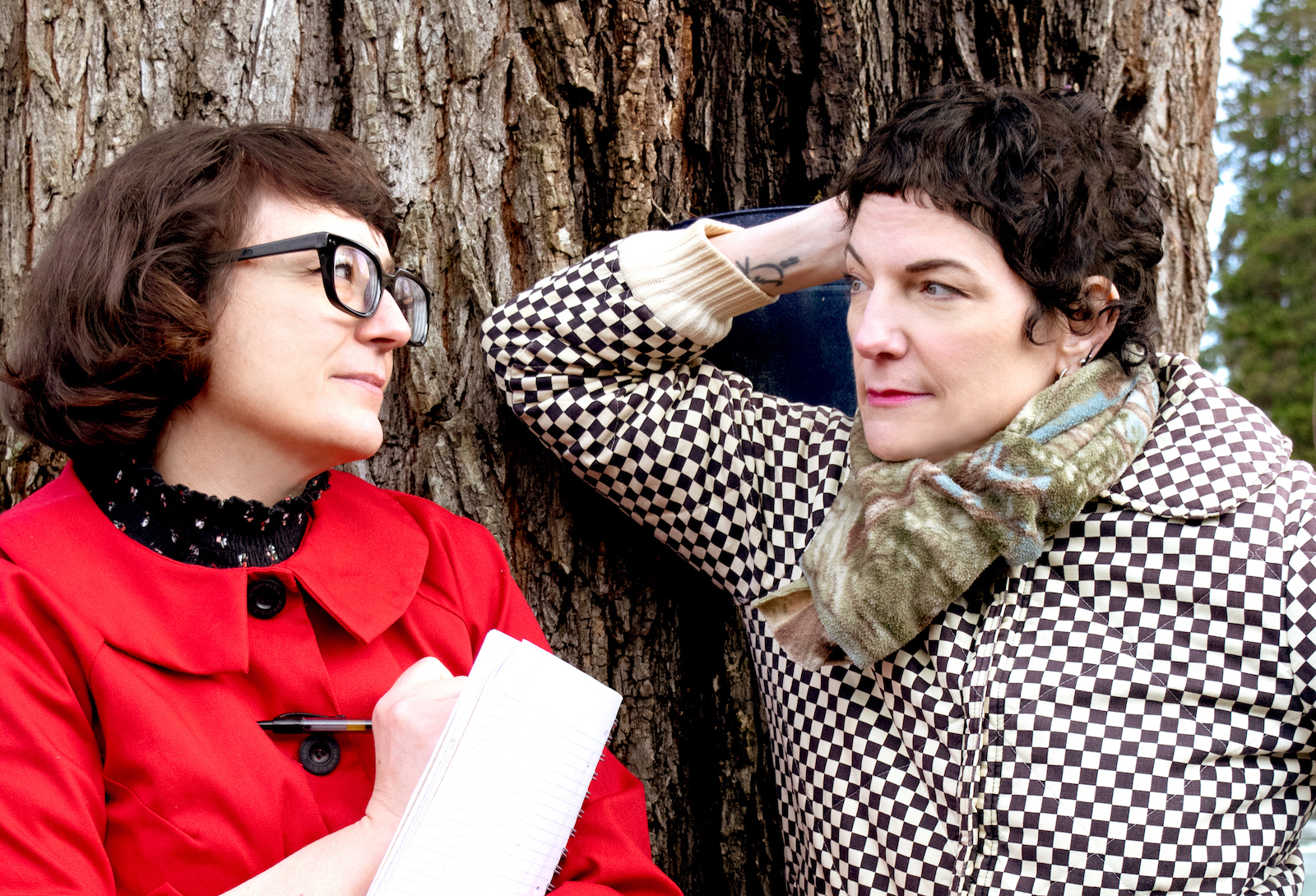 The Softies pick 15 Songs for Crying in your Car