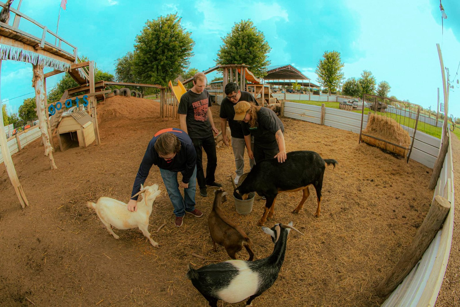 Album Reviews: Soccer Mommy, Ben Quad, Better Lovers & more