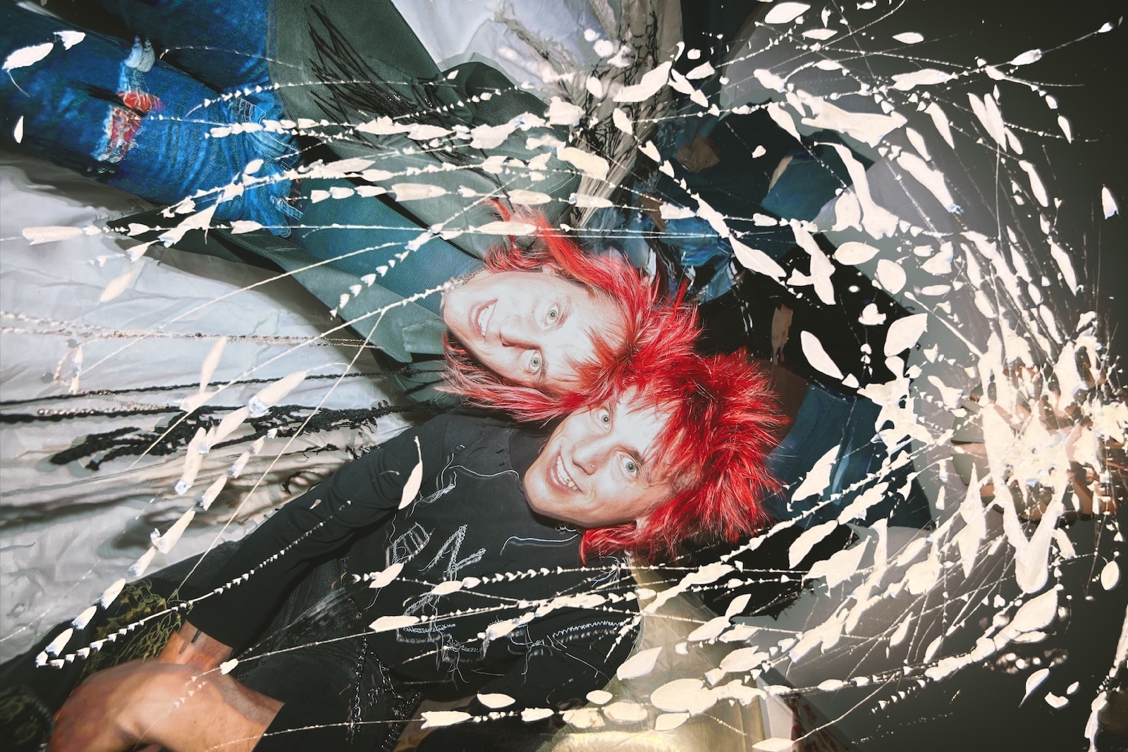 Brooklyn's Venus Twins opening for The Blood Brothers, prep EP for ...