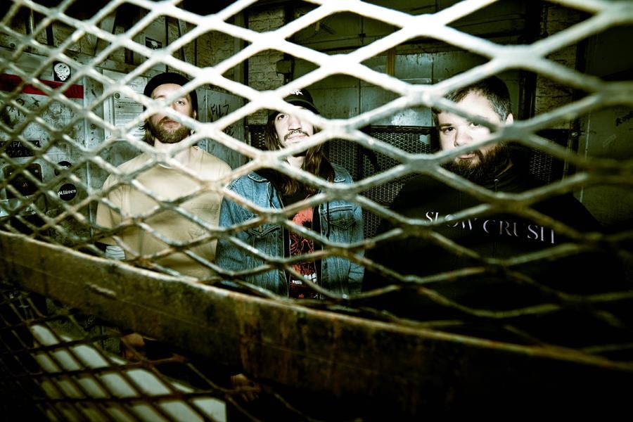 Frail Body's 10 Favorite Albums of 2024