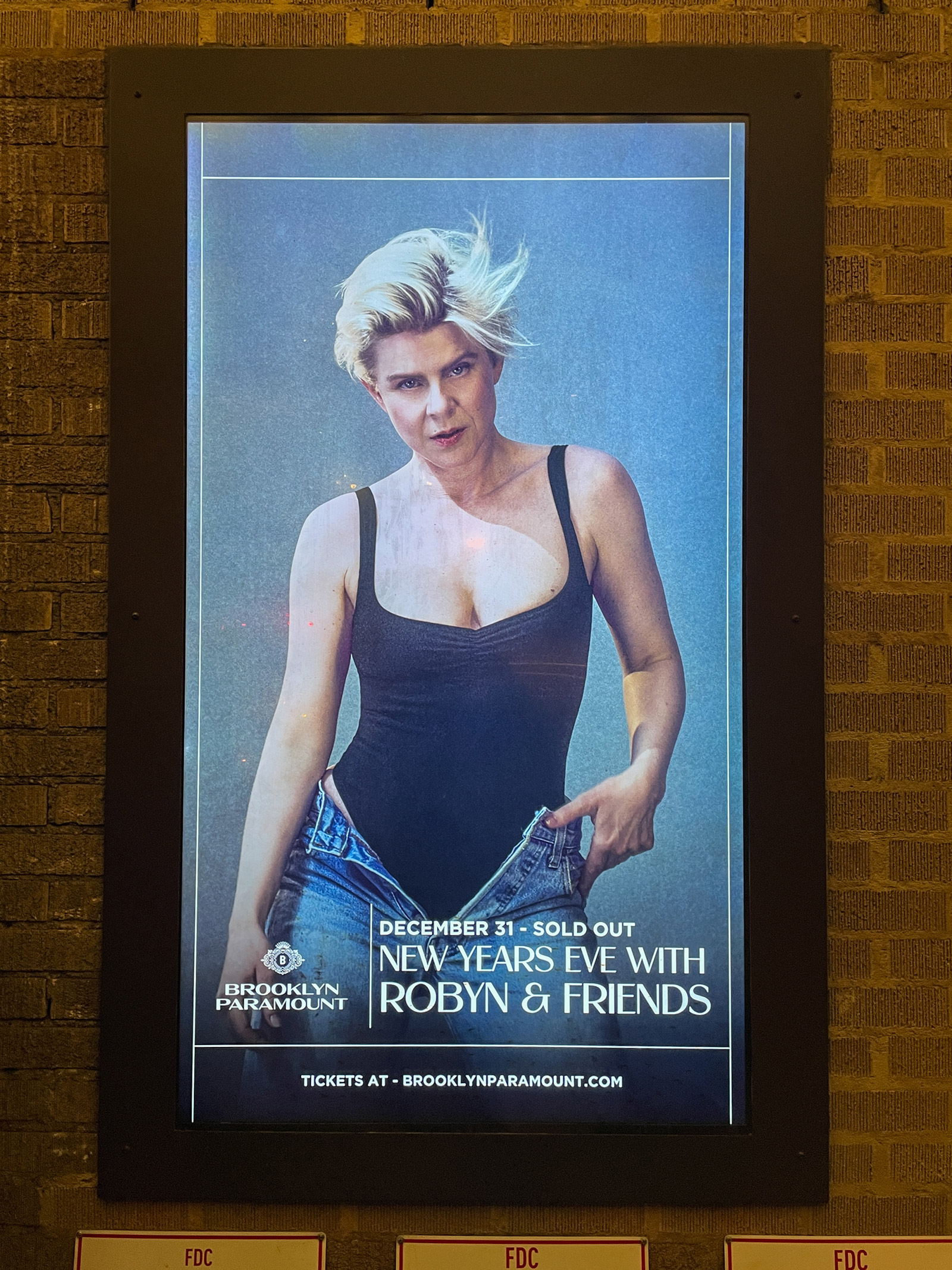 Robyn debuted new songs at New Year's Eve Brooklyn Paramount show, adds ...