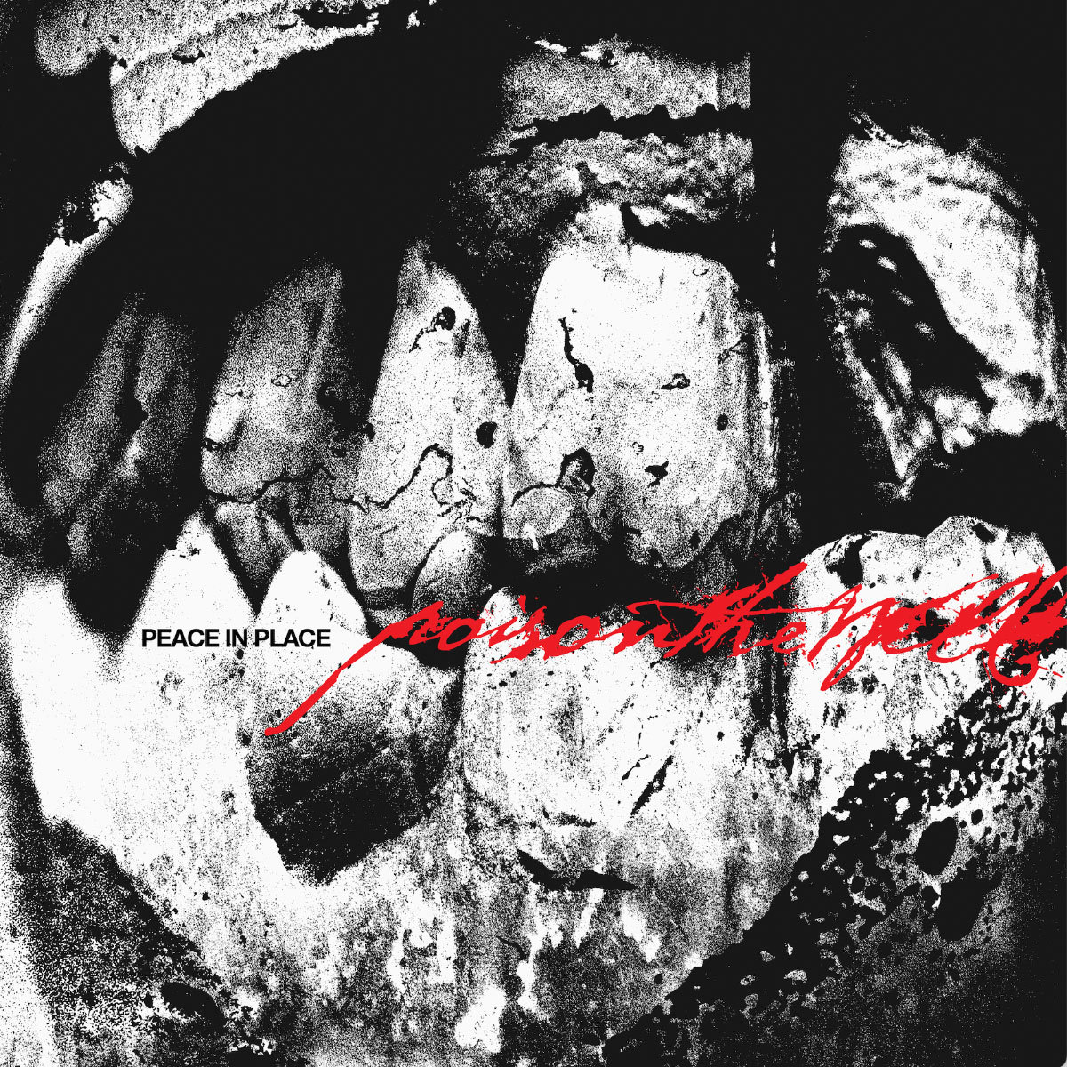 Poison The Well announce first album in 17 years, 'Peace In Place ...