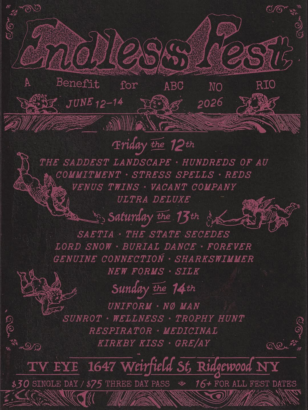 Saetia, Uniform, The Saddest Landscape & more playing new NYC DIY punk ...